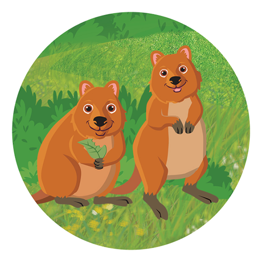 quokka